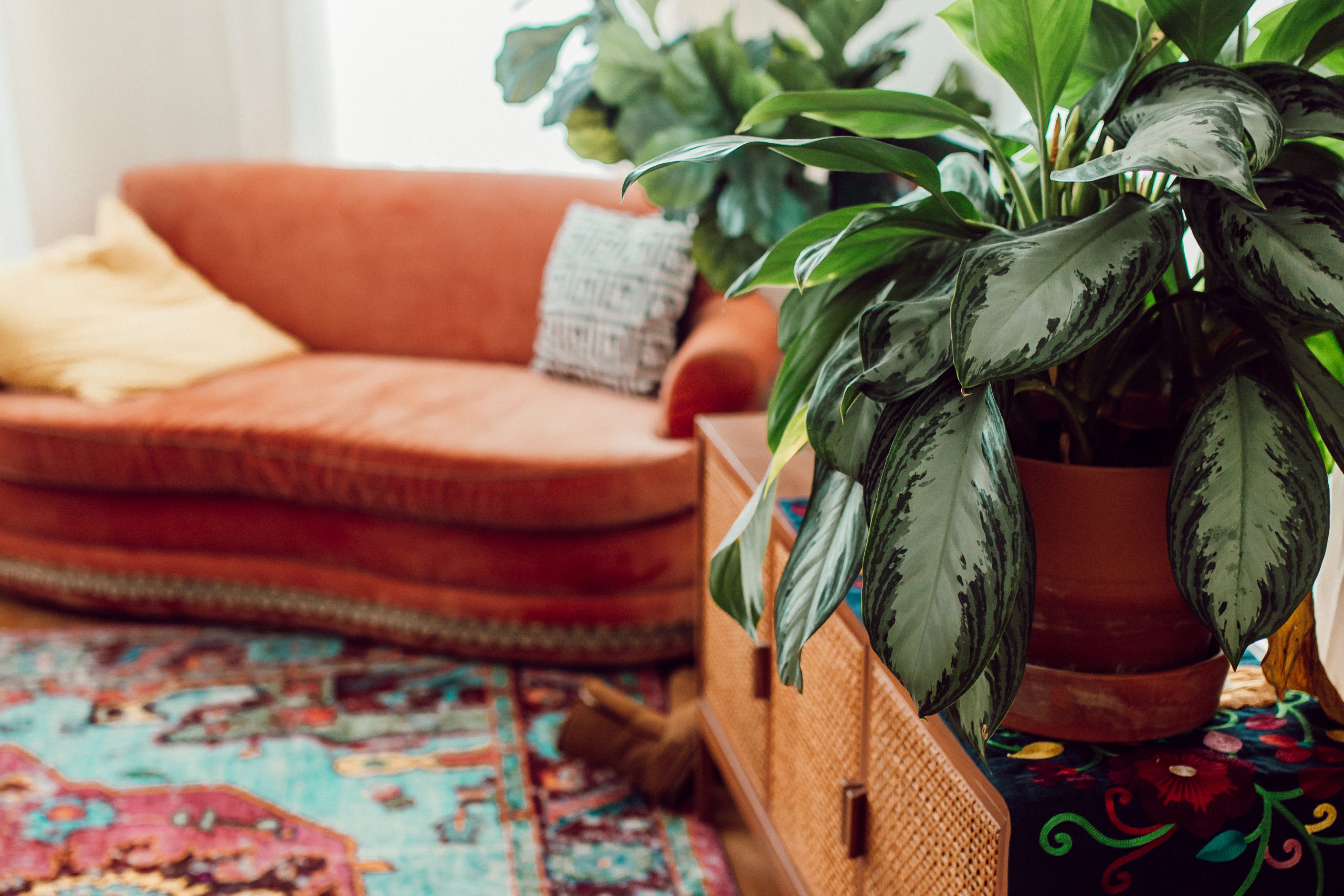 Boho Style House Tour » at Home on Hudson