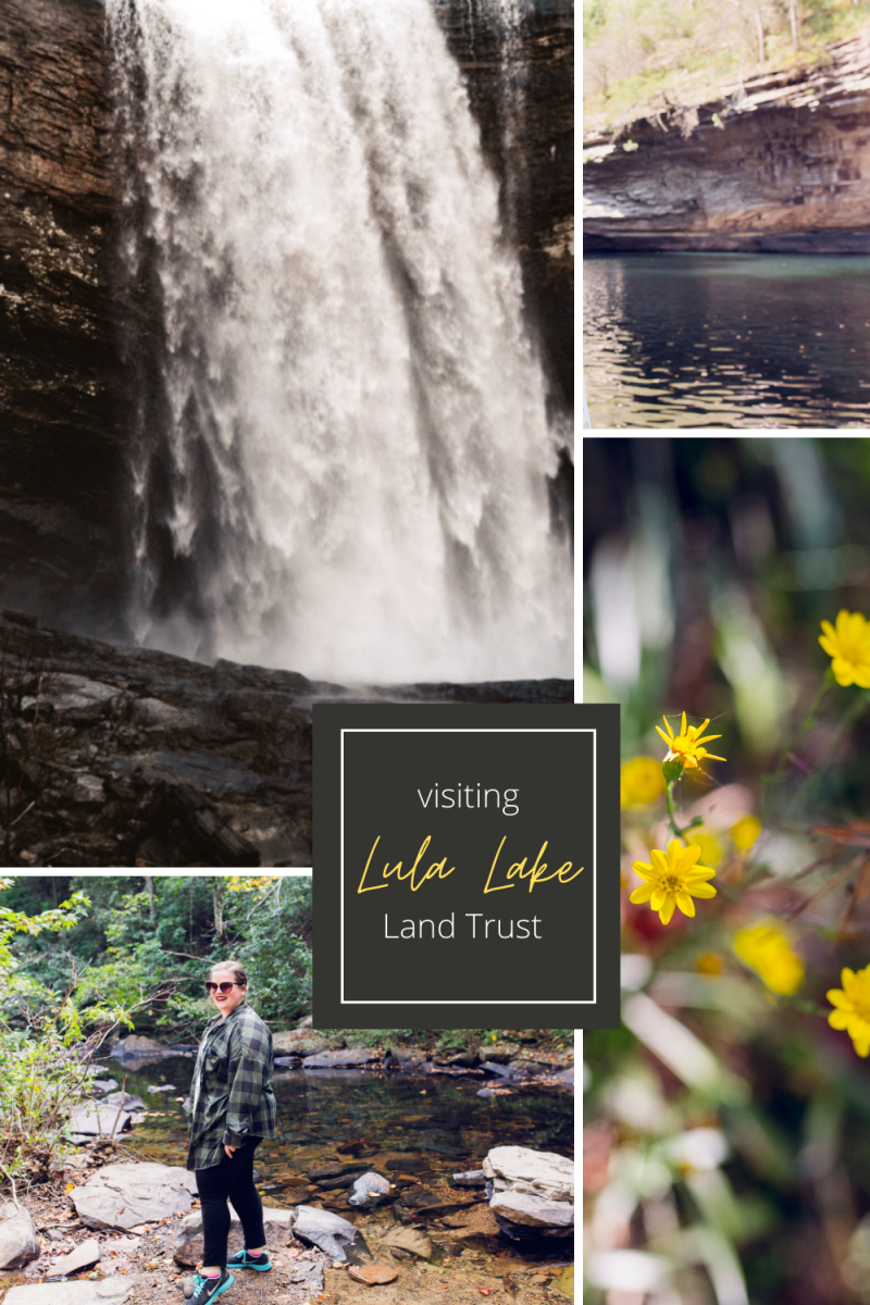 3 reasons why you should visit Lula Lake Land Trust » at Home on Hudson