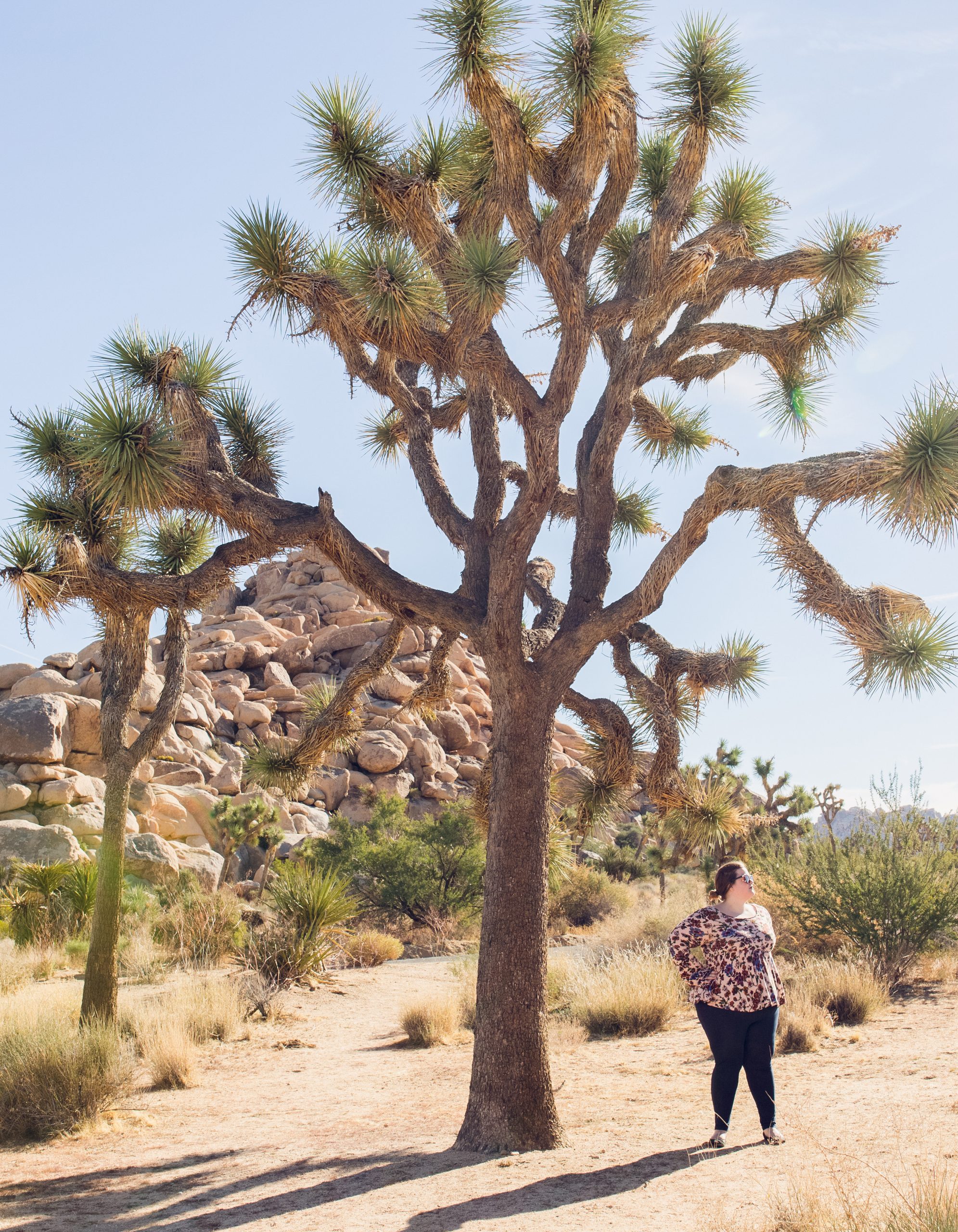 Spending a day in Joshua Tree, California! » at Home on Hudson