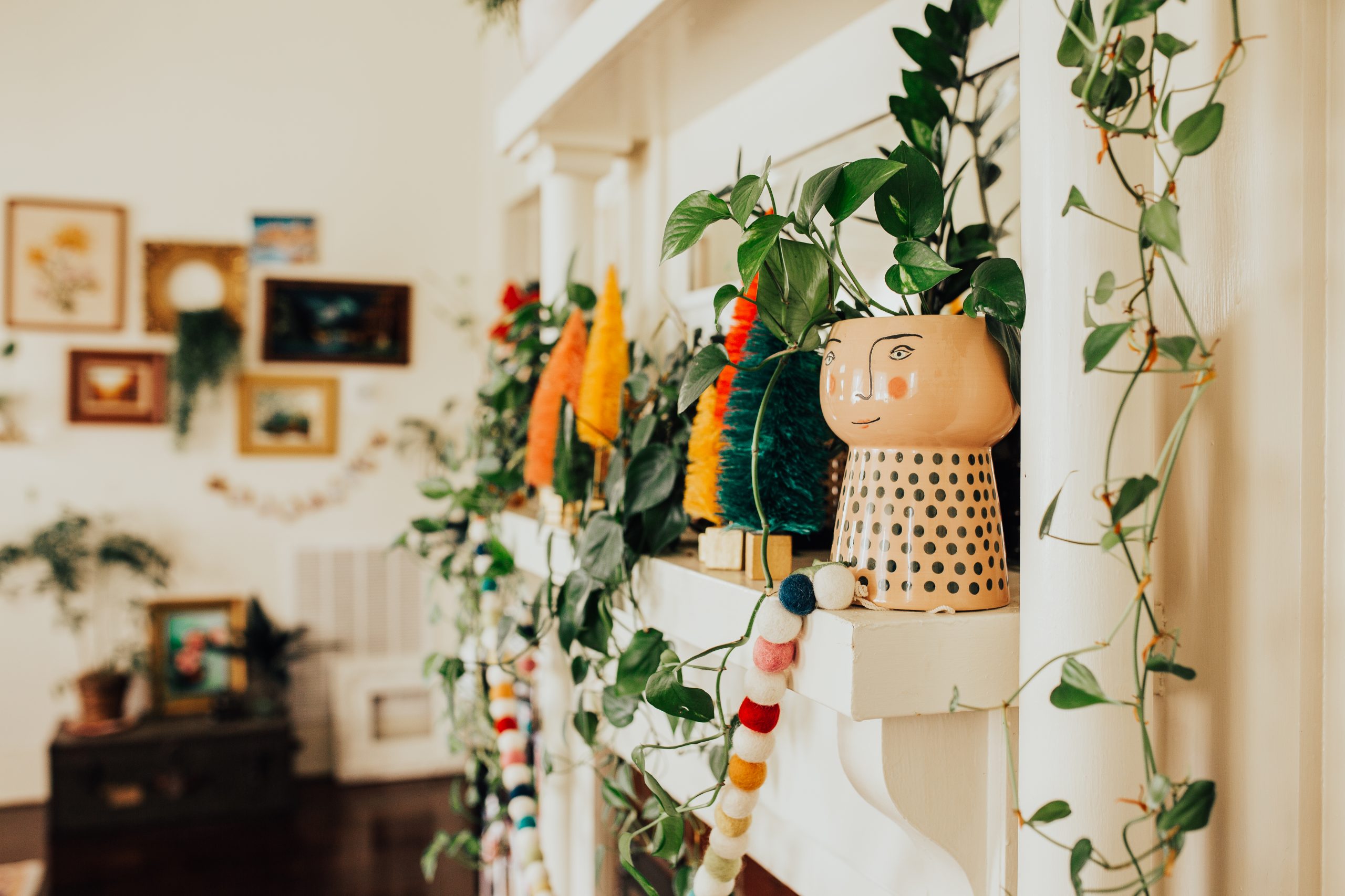 5 Indoor Plants for Beginners! » at Home on Hudson